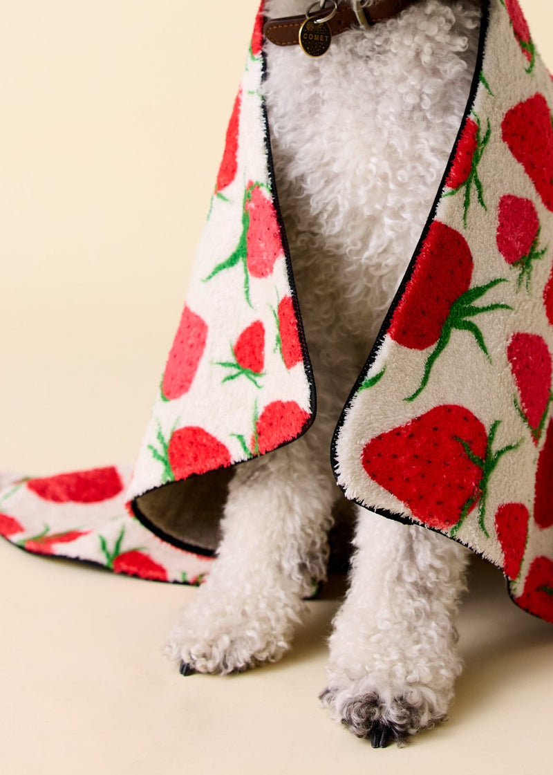Geometry Kitchen Tea Towels – GEOMETRY