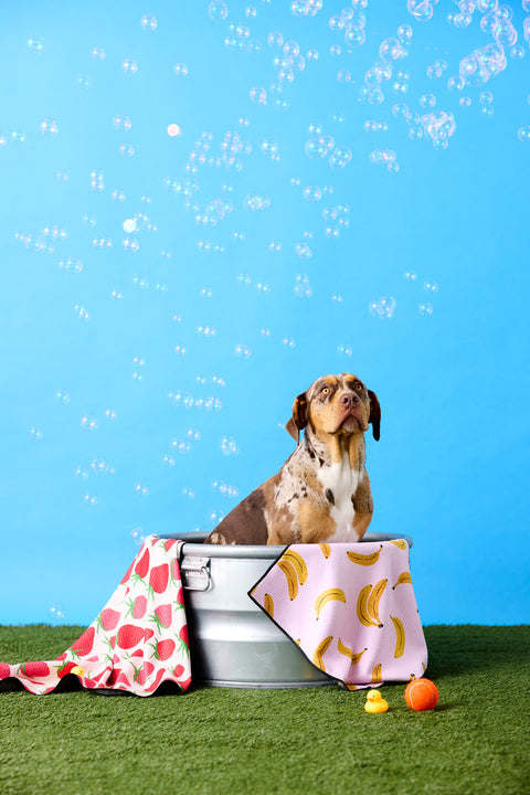 Renee Fly – GEOMETRY